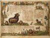The Haggis Animal Zodiac - Haggis Wildlife Foundation