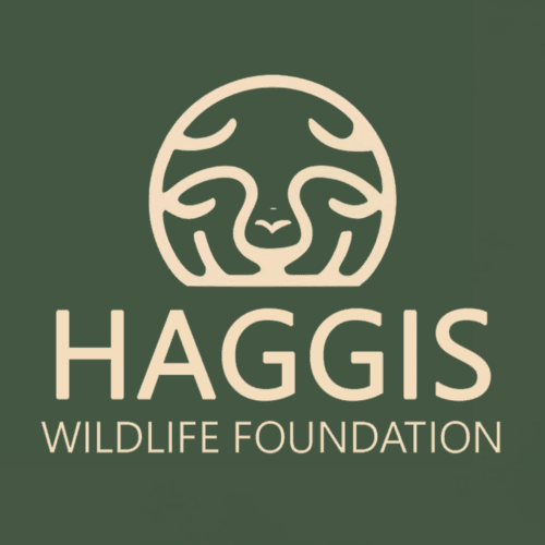 Haggis Wildlife Foundation