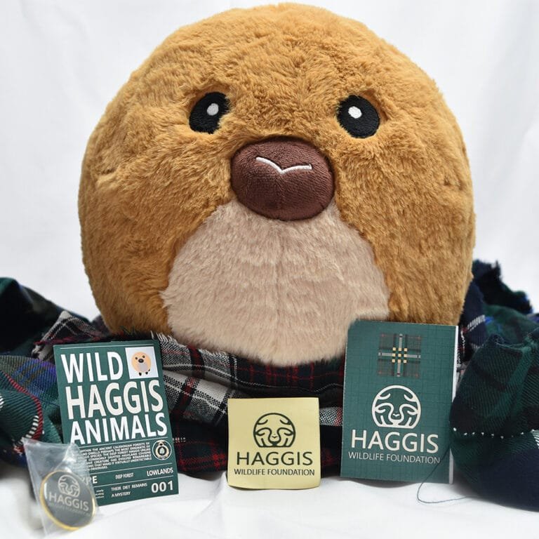 Official Haggis Toy | Wild Haggis Animal Baby Hagglet