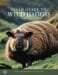 Haggis Wildlife Foundation