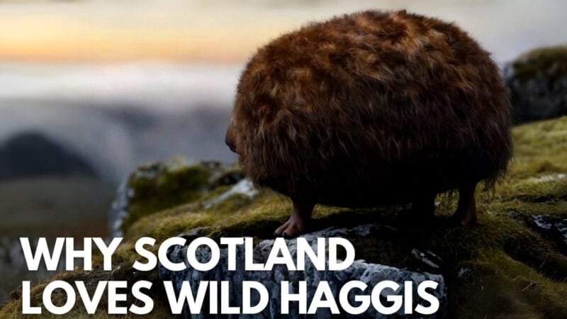 Haggis Wildlife Foundation