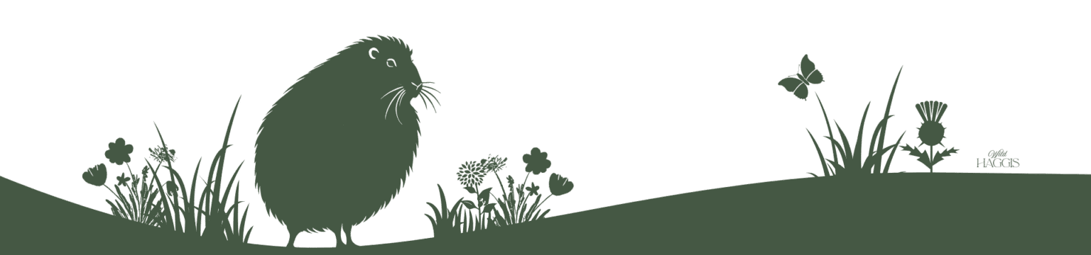 The Legendary Scottish Haggi - Haggis Wildlife Foundation