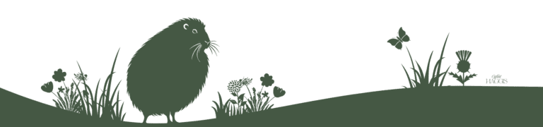 Is The Haggis Animal Real - Haggis Wildlife Foundation