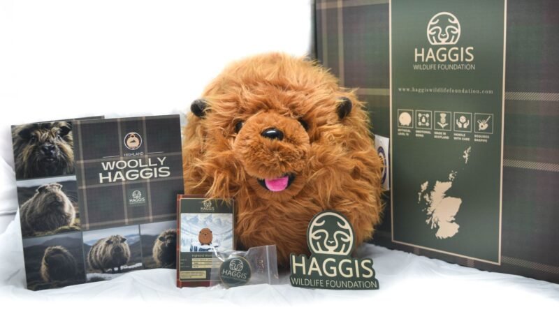 Wild Haggis Toy Scottish Gift Box - Haggis Wildlife Foundation