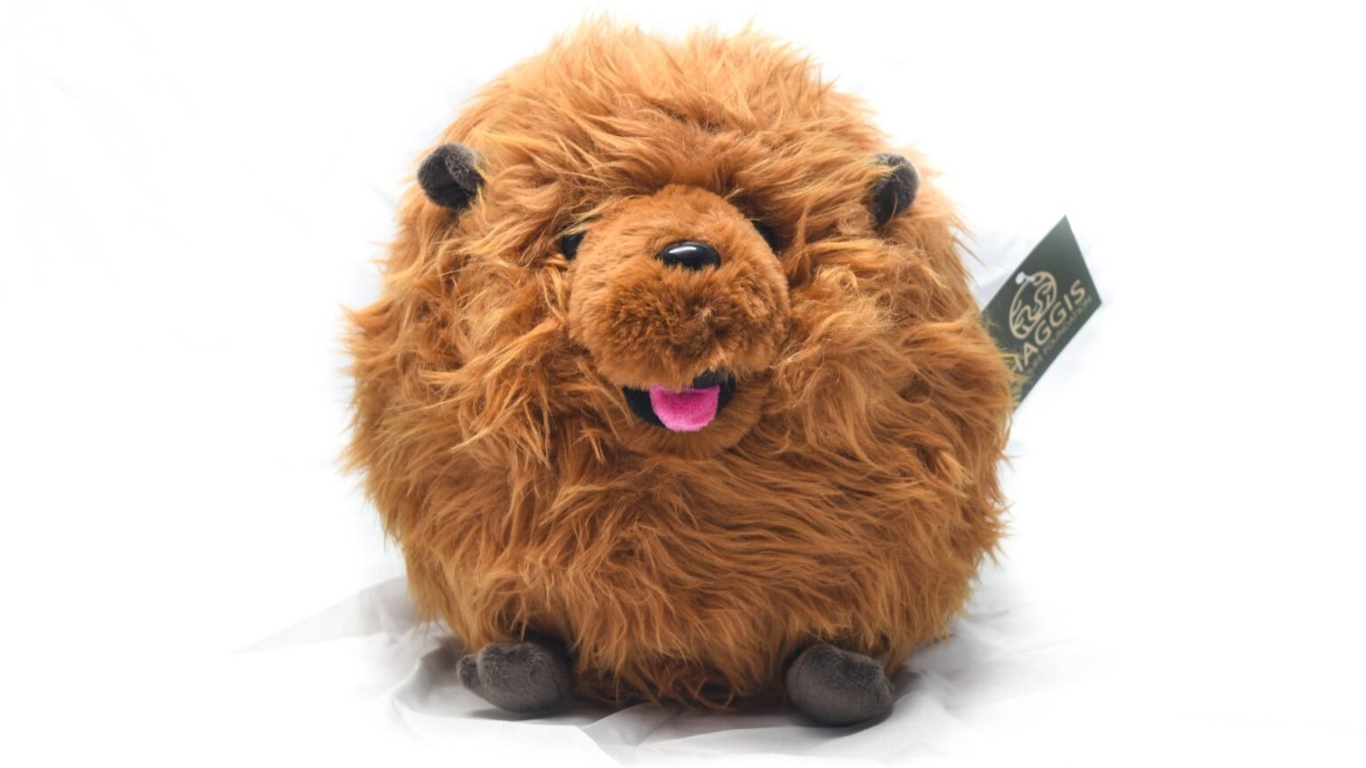 Haggis Wildlife Foundation